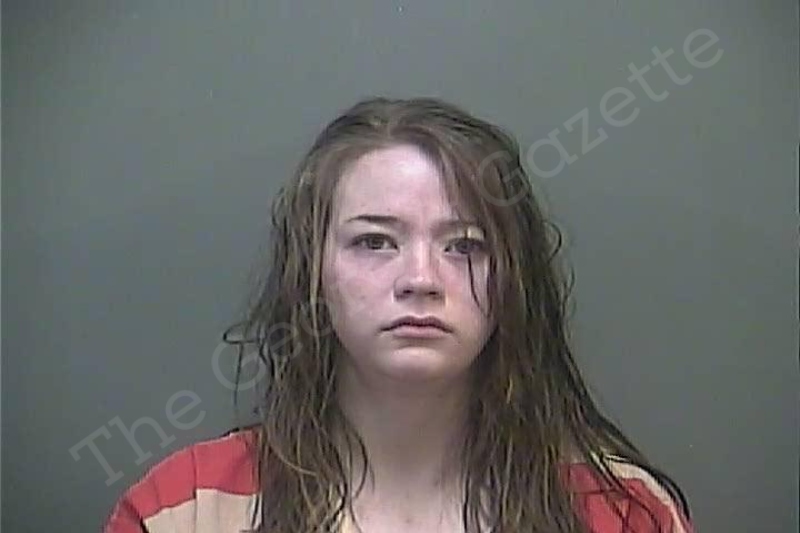 Johnsie Henry — White County Jail Bookings