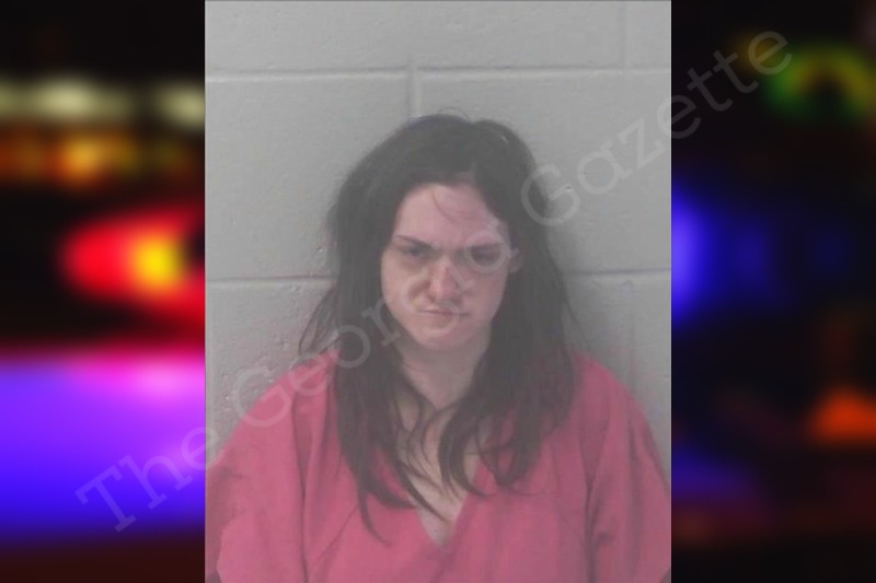 Tonya Johnston — Newton County Jail Bookings