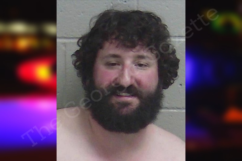 Justin Lawhorne — Wayne County Jail Bookings