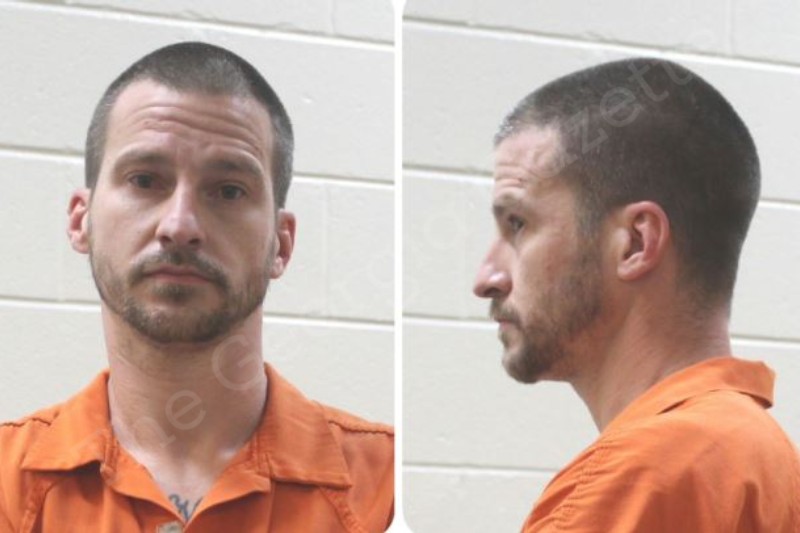 Brian Lewis — Houston County Jail Bookings