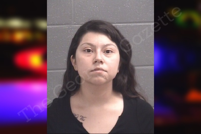 Jennifer Lopez-Luna — Spalding County Jail Bookings