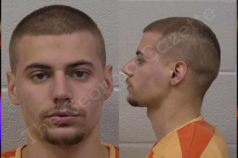 David Lowman — Paulding County Jail Bookings