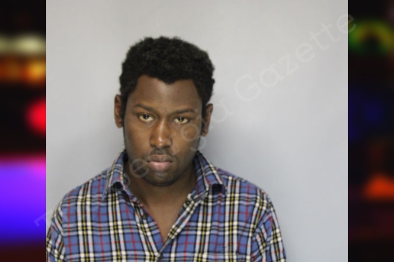 Travis McGhee — Hall County Jail Bookings