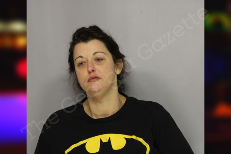 Jessica Miller — Hall County Jail Bookings