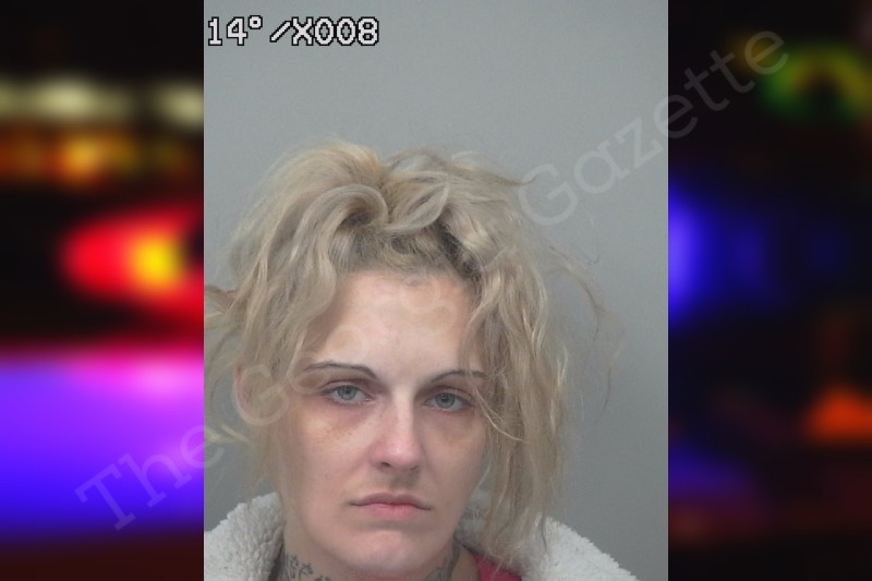 Stacy Morris — Gwinnett County Jail Bookings