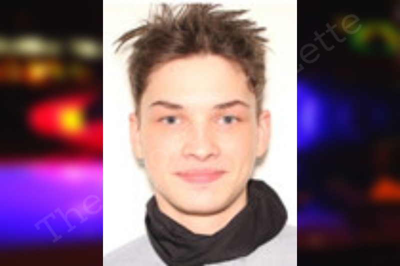 Logan McFall — Henry County Jail Bookings