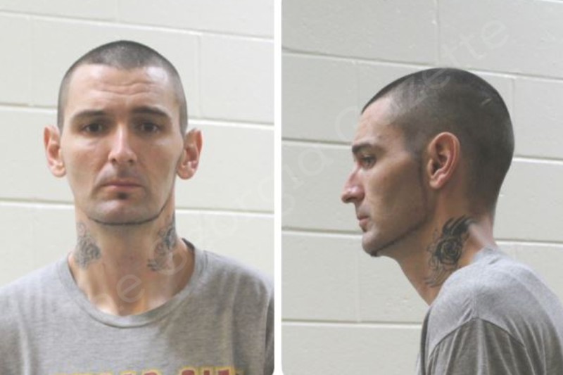 James Minton — Houston County Jail Bookings