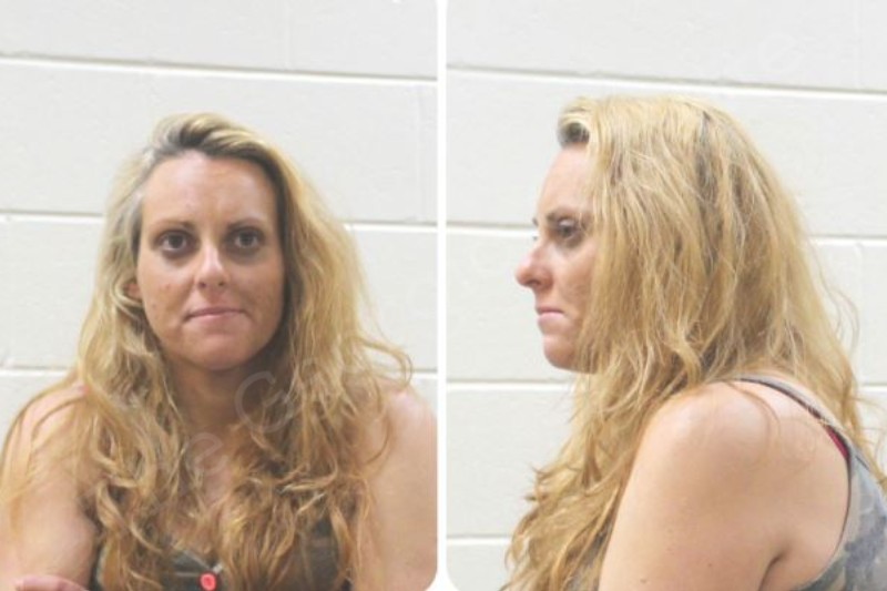 Kristy Moore — Houston County Jail Bookings