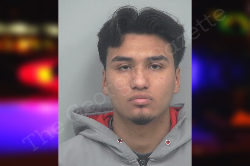 Angel Nava-Nava — Gwinnett County Jail Bookings