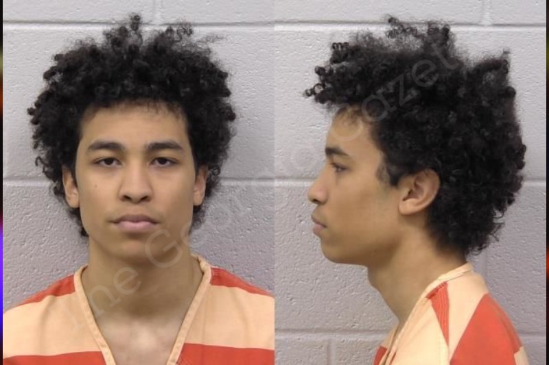 Joshua Norris — Paulding County Jail Bookings