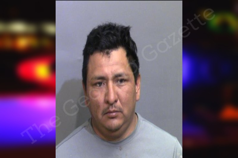 Alexander Palacios — Glynn County Jail Bookings