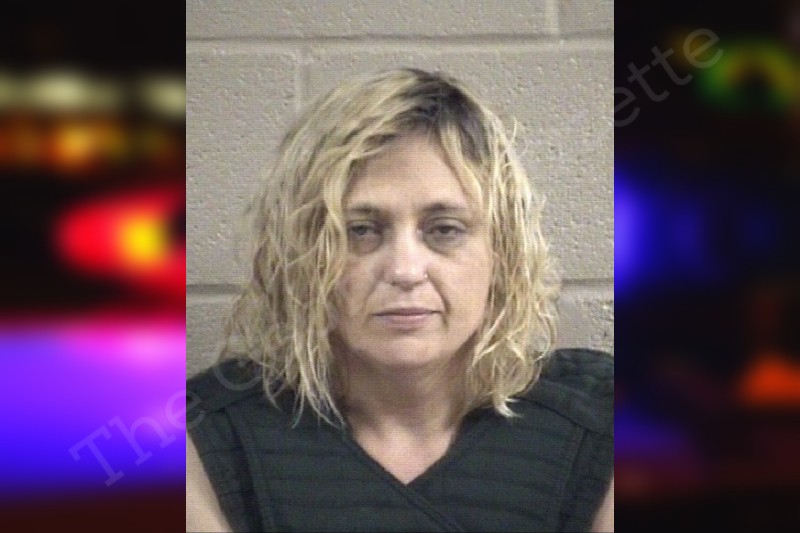 Michelle Plott — Whitfield County Jail Bookings