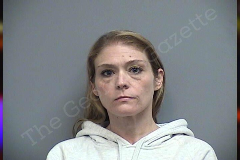 April Provost — Effingham County Jail Bookings