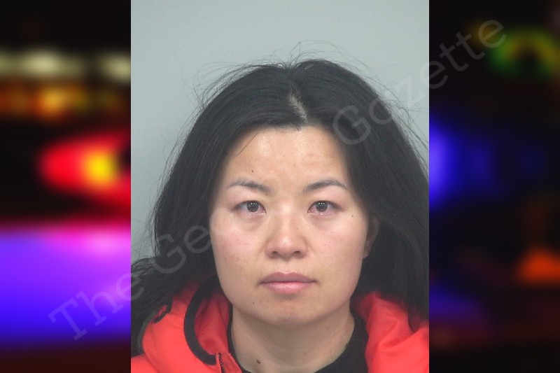 Ruiyun Qin — Gwinnett County Jail Bookings