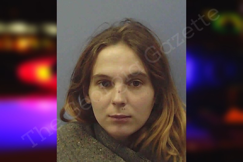 Elizabeth Ragland — Chattooga County Jail Bookings