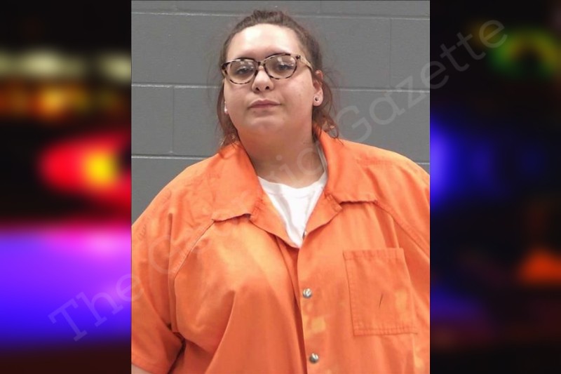 Amy Rybicki — Baldwin County Jail Bookings