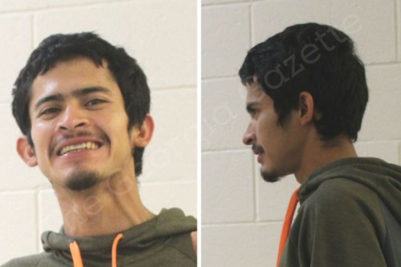 Steven Ramirez Alvarado — Houston County Jail Bookings