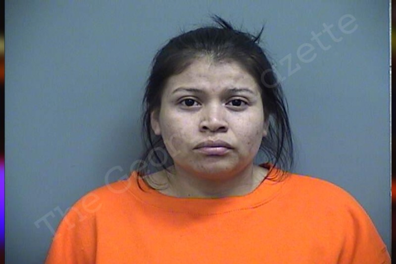 Ana Ramirez — Effingham County Jail Bookings