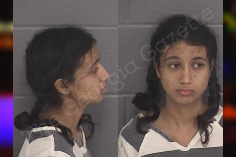 Jessica Reina — Barrow County Jail Bookings