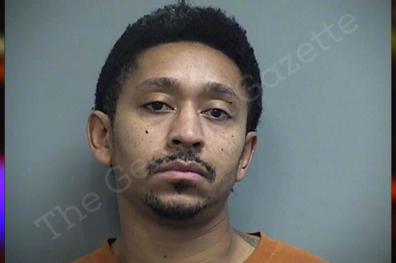Bryan Richardson — Effingham County Jail Bookings