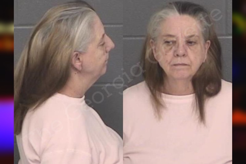 Janice Sakowich — Barrow County Jail Bookings