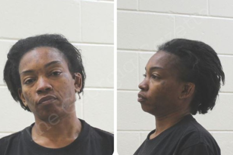 Lynda Sayles — Houston County Jail Bookings