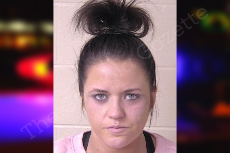 Kayla Scudgins — Walker County Jail Bookings