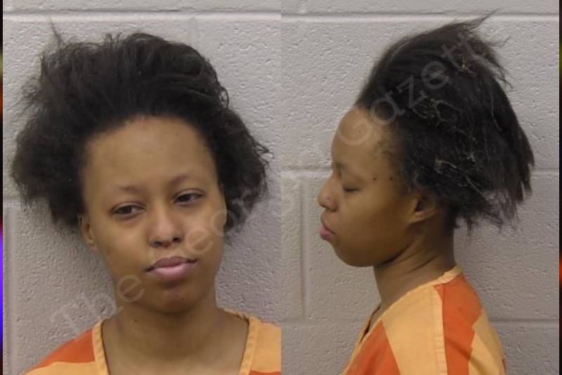 Shawnelle Shepherd — Paulding County Jail Bookings