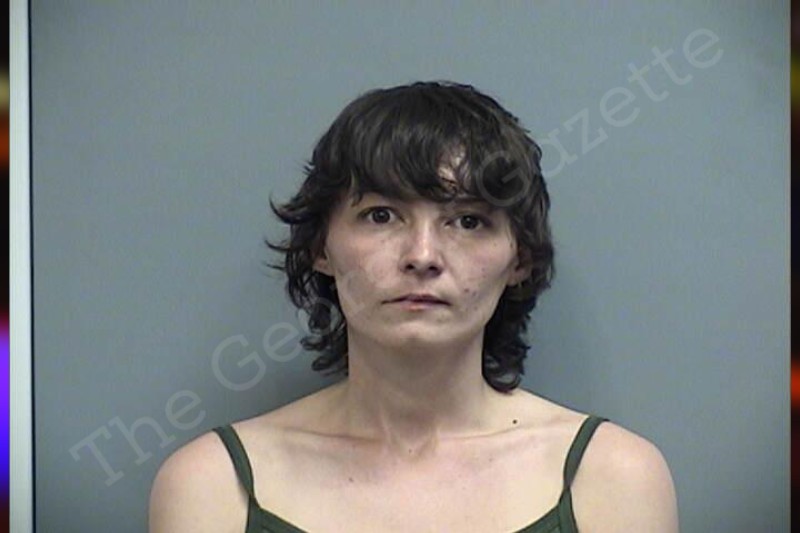 Courtney Snelling — Effingham County Jail Bookings