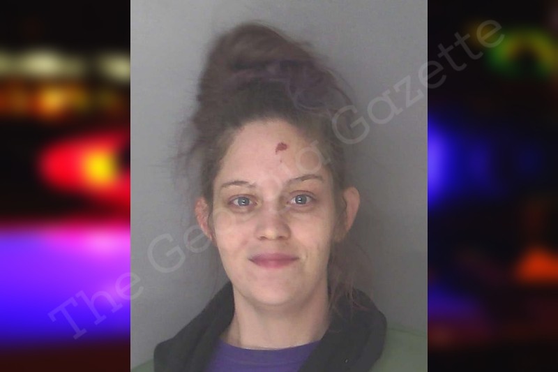 Shea Tomasso — Douglas County Jail Bookings