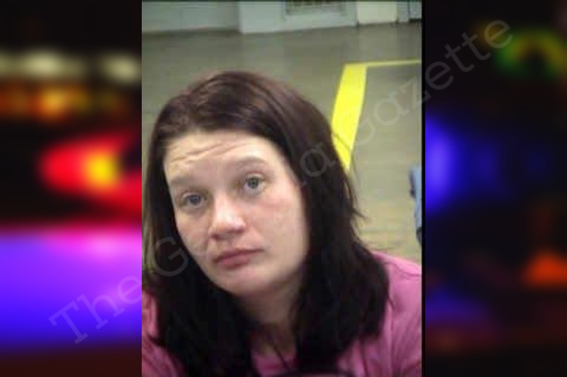 Patsy Traylor — Heard County Jail Bookings