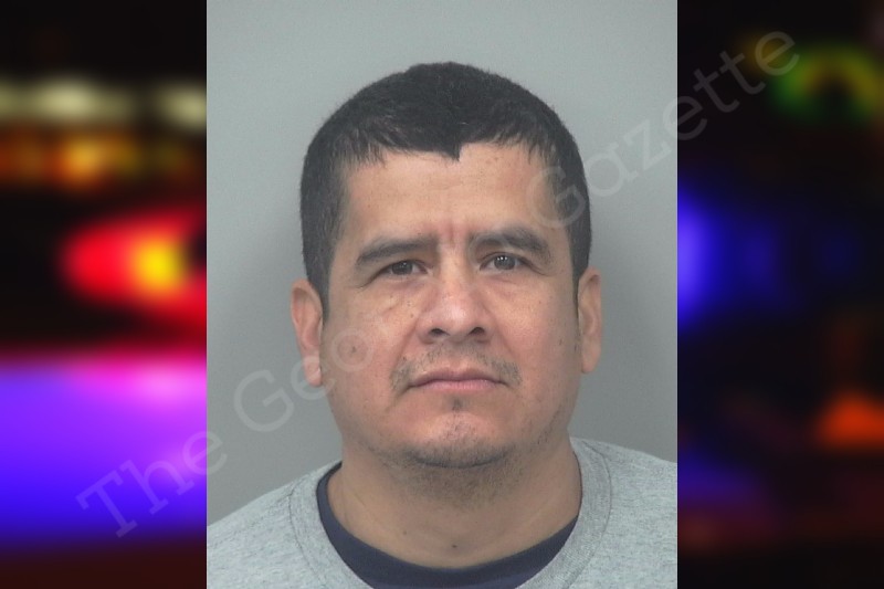 Luis Vesga Guzman — Gwinnett County Jail Bookings
