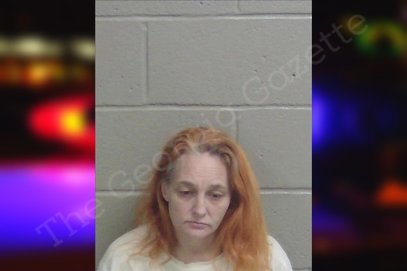 Elizabeth Voss — Wayne County Jail Bookings