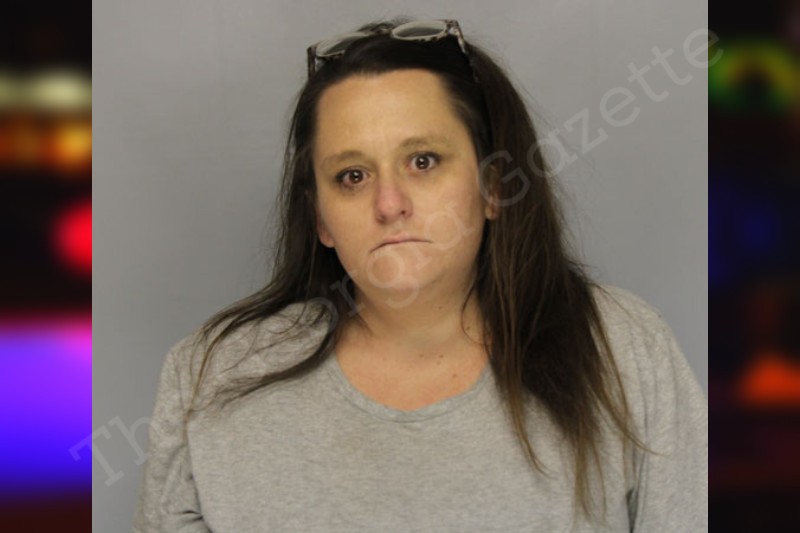 Jami Warren — Hall County Jail Bookings