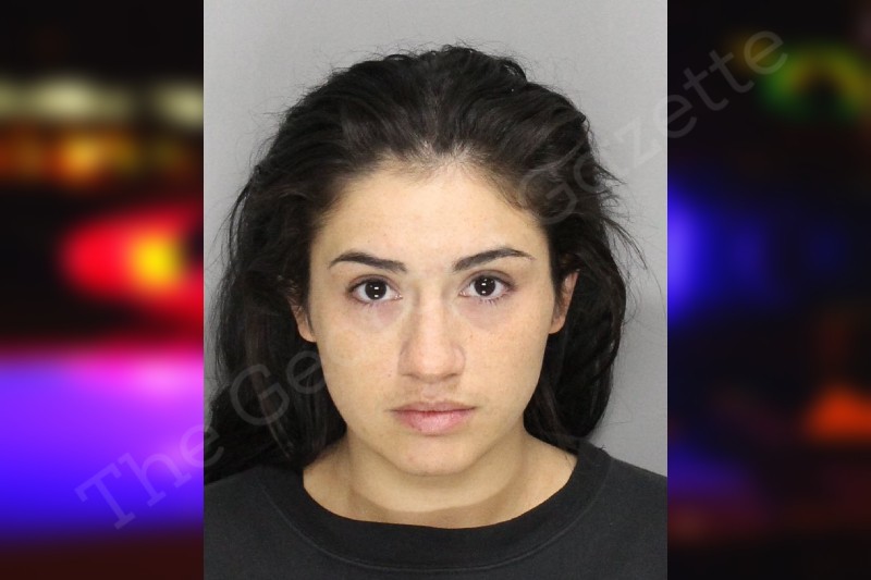 Michelle Whitlow - Cobb County