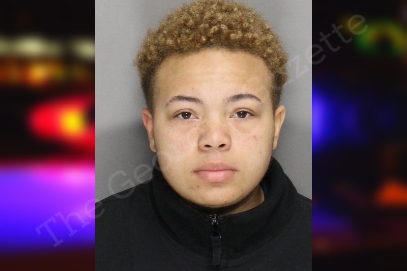 Abriana Wilson — Cobb County Jail Bookings