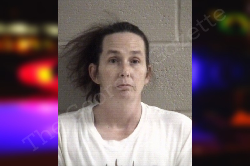 Sheena Walker — Whitfield County Jail Bookings