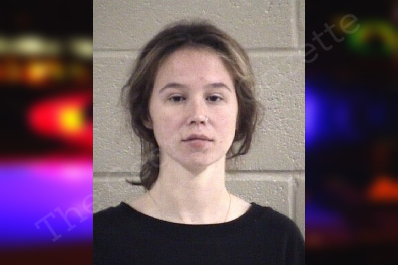 Brianna Waters — Whitfield County Jail Bookings