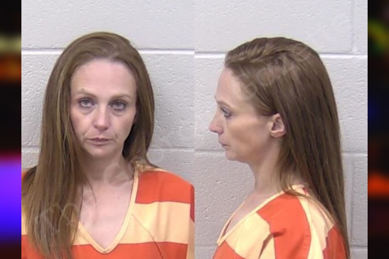Nicole Wigley — Paulding County Jail Bookings