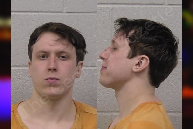 Ethan Wiley — Paulding County Jail Bookings