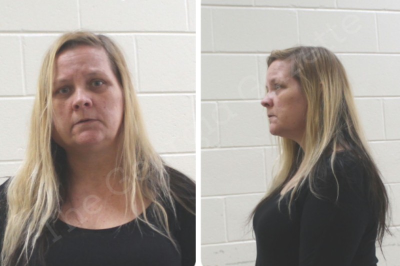 Sharee Williams — Houston County Jail Bookings