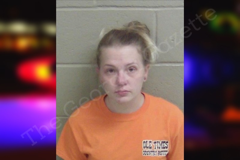 Alexis Wilson — Wayne County Jail Bookings