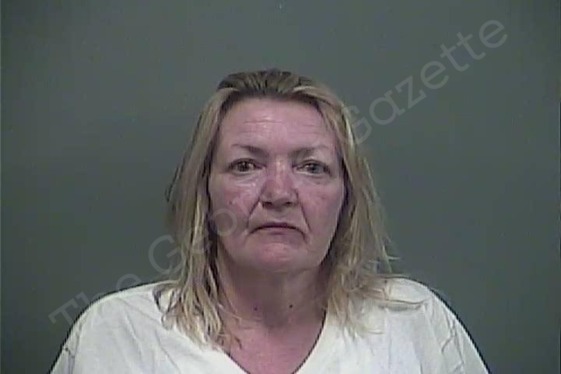 Dedra Zaccone — White County Jail Bookings