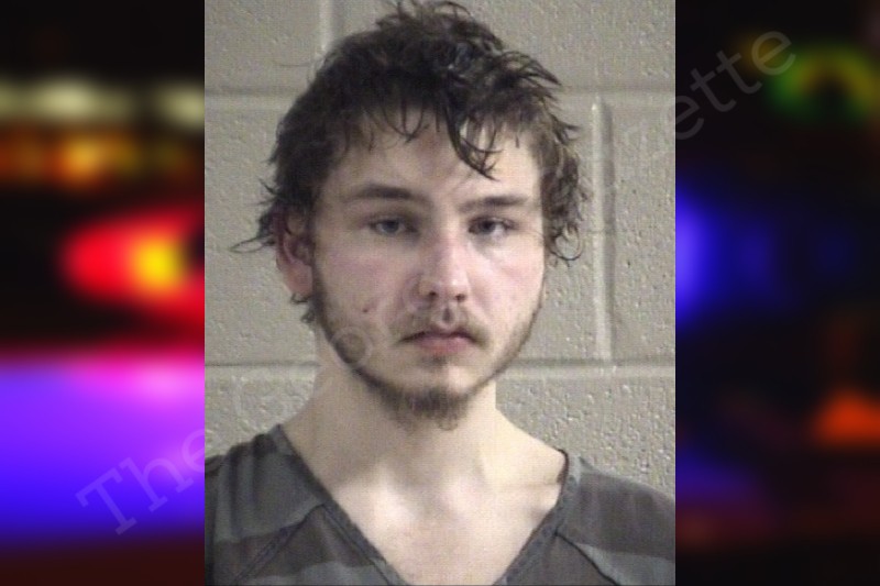 Damien Stanley — Whitfield County Jail Bookings