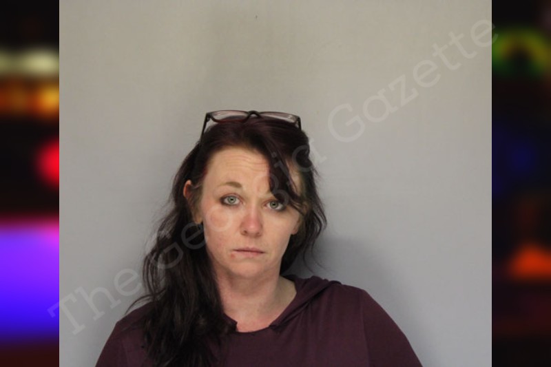 Jessica Adcock — Hall County Jail Bookings
