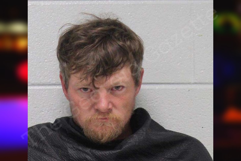 Brian Arnell | Carroll County Jail Bookings