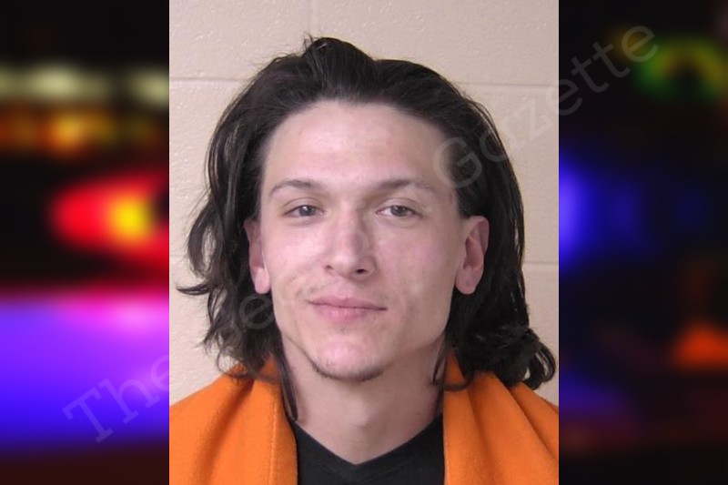 Thomas Allred — Walker County Jail Bookings