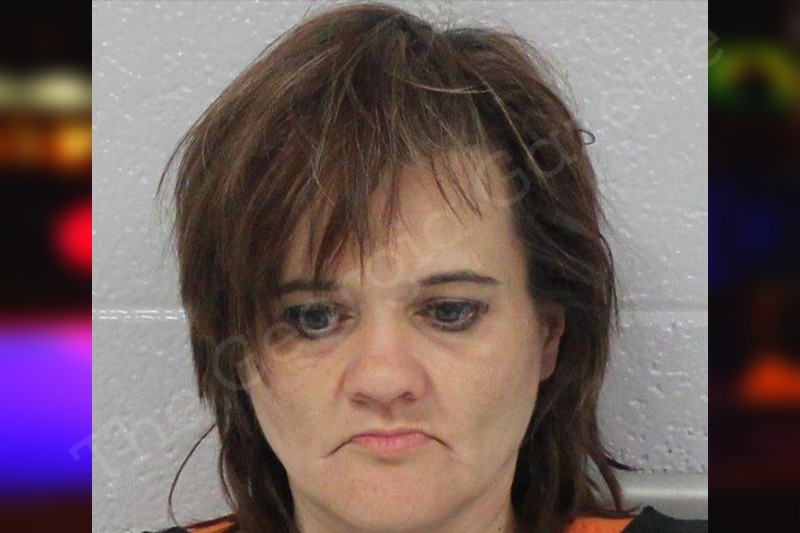 Rhonda Bassett — Carroll County Jail Bookings