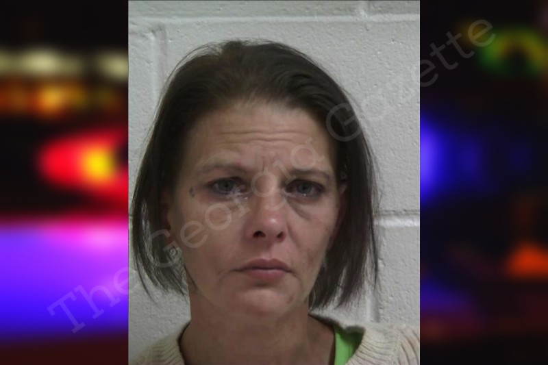 Lynn Bryan — Decatur County Jail Bookings