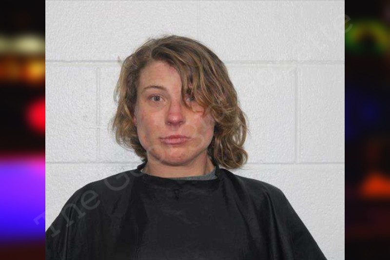 Morgan Butler — Habersham County Jail Bookings